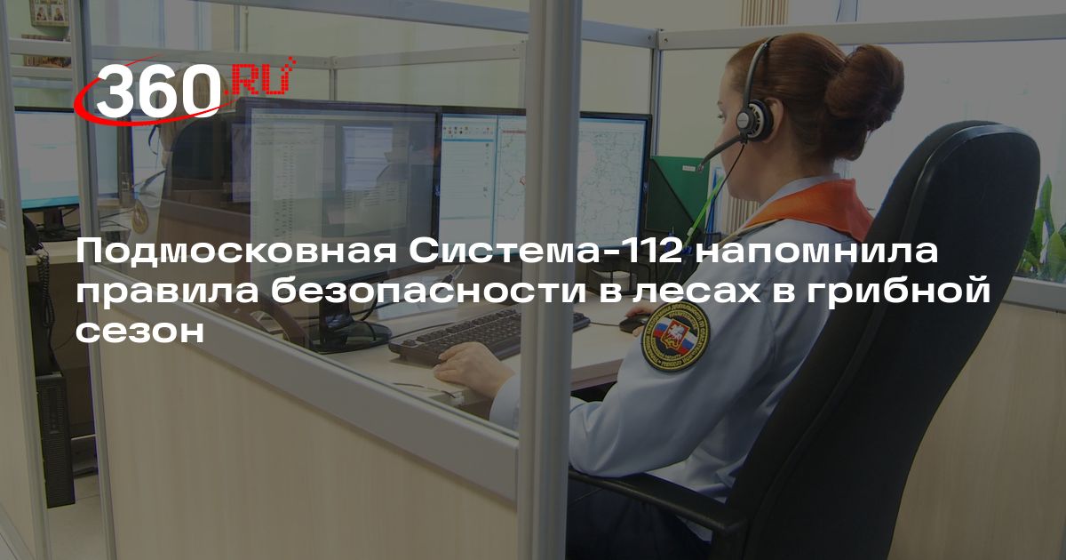 Подмосковная Система-112 напомнила правила безопасности в лесах в ...