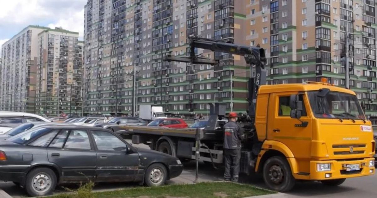 Жители помогают наводить порядок: в Красногорске ведется работа по ...