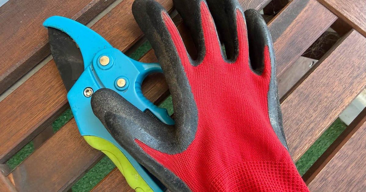 Садоводы и дачники